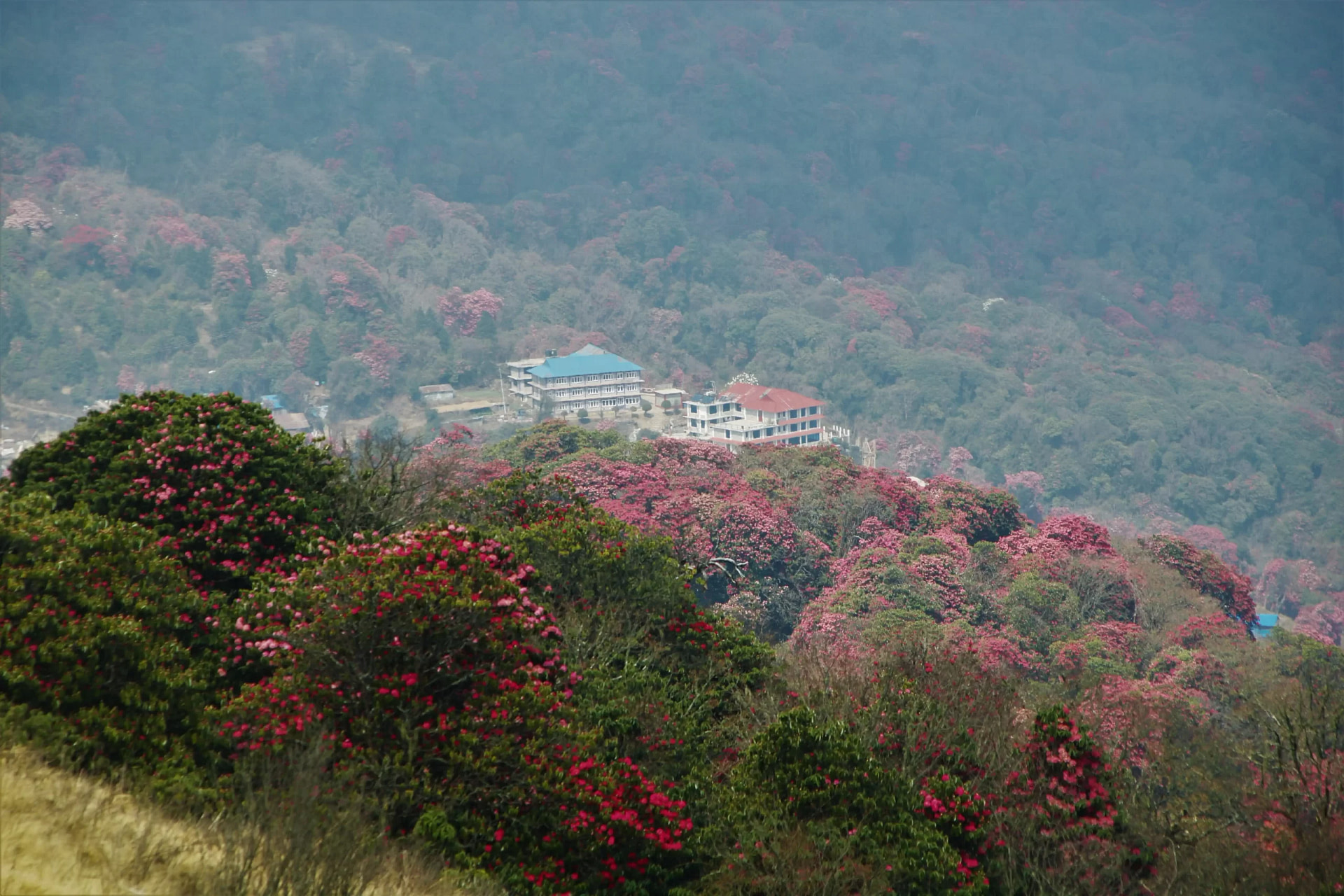 Season to travel in Nepal - Best 4 Seasons - Vertex Holiday Pvt. Ltd ...